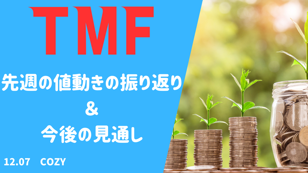 12.07アメリカ債券ETFの買い時TMF｜先週の値動きの振り返りと今週の見通し | ブラッシュアップスキル