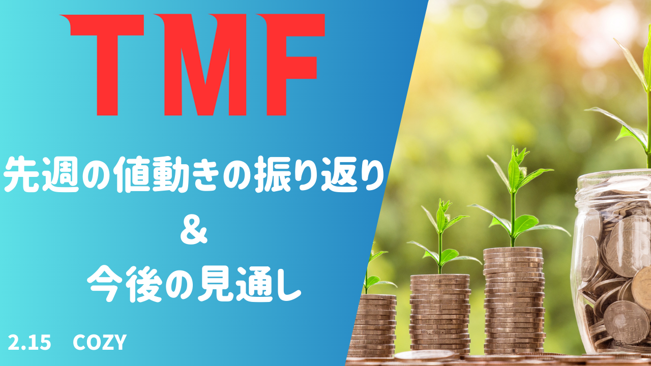 2.15アメリカ債券ETFの買い時TMF｜先週の値動きの振り返りと今週の見通し | ブラッシュアップスキル