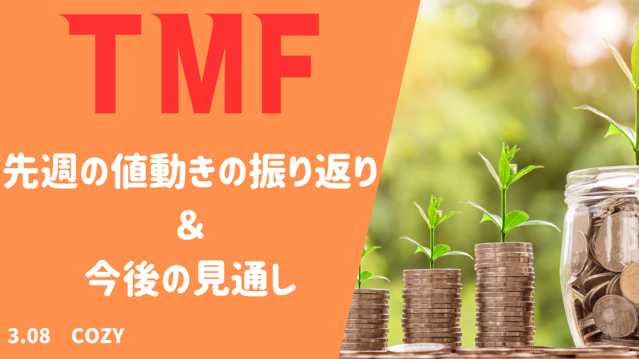 3.08アメリカ債券ETFの買い時TMF｜先週の値動きの振り返りと今週の見通し | ブラッシュアップスキル
