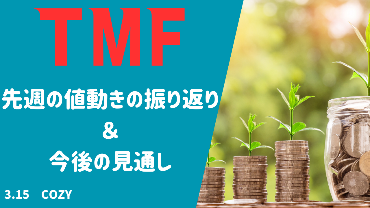 3.15アメリカ債券ETFの買い時TMF｜先週の値動きの振り返りと今週の見通し | ブラッシュアップスキル